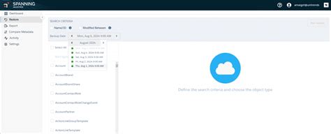 Point In Time Restore And Export For Salesforce Spanning