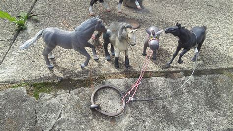 Historic Horse Tethering Rings In Portland Or Pdxtoday