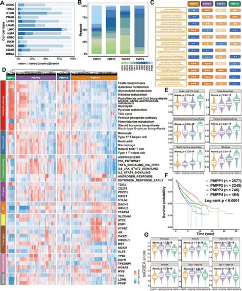 Pan Cancer Characterization Of Pmpp Subgroup Heterogeneity Within Tumor Download Scientific