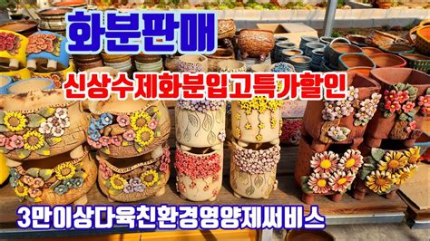 화분판매 신상수제화분입고특가할인 010 4499 2456 5만이상무료배송 3만이상다육친환경영양제써비스 주문은 문자로주세요 Youtube