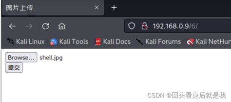 渗透测试主机与ctf btoa flag value csdn博客