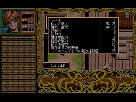 Download Mad Paradox My Abandonware