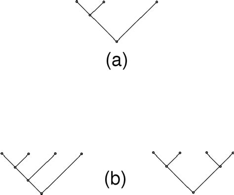 Not Plane And Unlabeled Rooted Binary Trees On 3 Leaves A And 4
