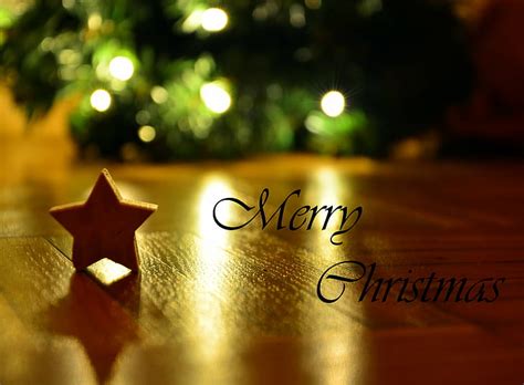 선미 Hd 바탕 화면 배경 화면 무료 다운로드 Wallpaperbetter