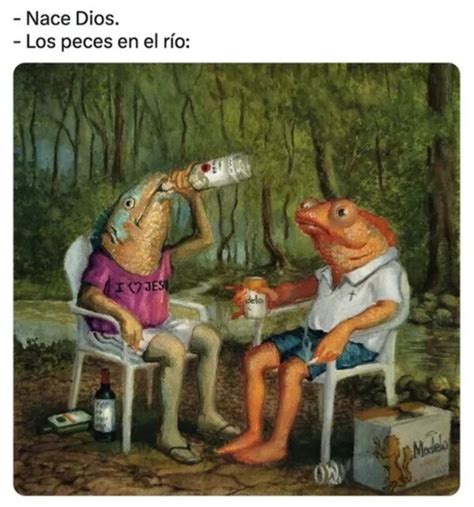Navidad Los Mejores Memes Para Enviar En Noche Buena Por Las Fiestas El Informador