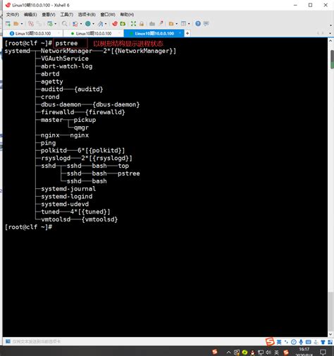 Linux基础命令kill终止进程 六月ovo 博客园