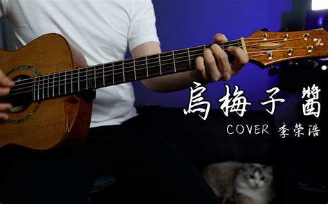 你浅浅的微笑就像 乌梅子酱宇哥弹唱 杨征宇Isaac 杨征宇Isaac 哔哩哔哩视频
