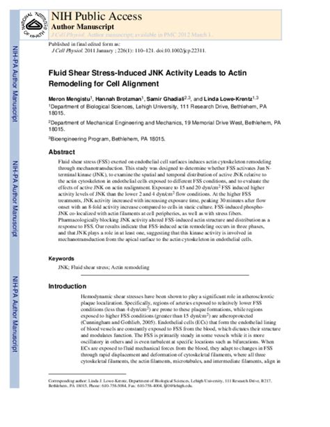Fluid Shear Stress Induced Jnk Activity Leads To Actin Remodeling For