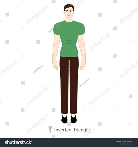 Men Inverted Triangle Body Shape Character Stock Vector Royalty Free