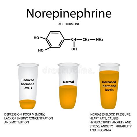 La Fórmula Química Estructural Molecular De La Pepsina Funciones De La