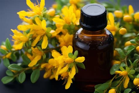 Premium Photo Herbal Remedy Yellow Hypericum Flowers Essential In