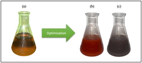 Phytofabrication Of Selenium Nanoparticles With Moringa Oleifera Mo Senps And Exploring Its