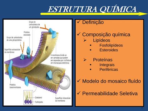 Pdf Disciplina De Biologia