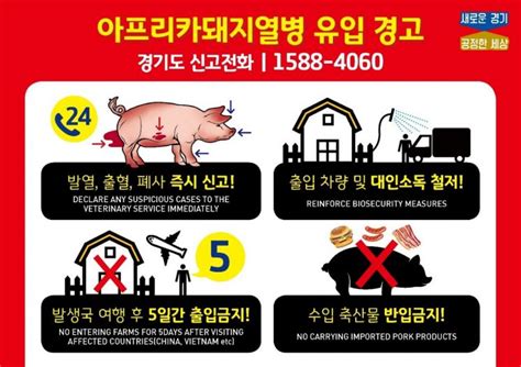 경기도 치사율 100 아프리카돼지열병 예방 홍보 강화 아시아경제