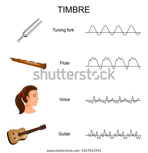Education Chart Different Sound Timbre Diagram Stock Vector Royalty