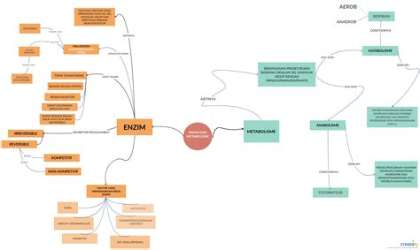 Metabolism Mind Map Hot Sex Picture
