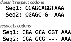 Sequence Alignment From The Phylogenetic Perspective