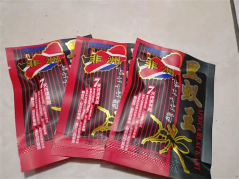 BEST SELLER BLACK ANT SEMUT HITAM AFRICA ORIGINAL Lazada Indonesia