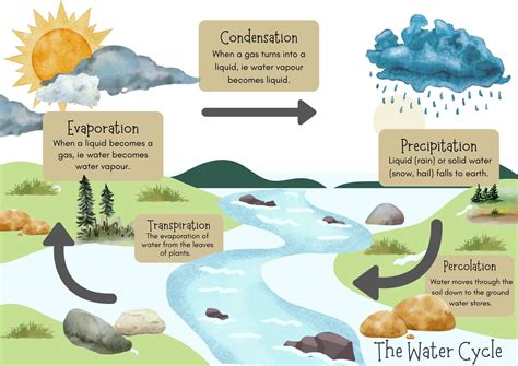 Ciclo Del Agua Simple Con Etiquetas El Ciclo Del Agua Artículo