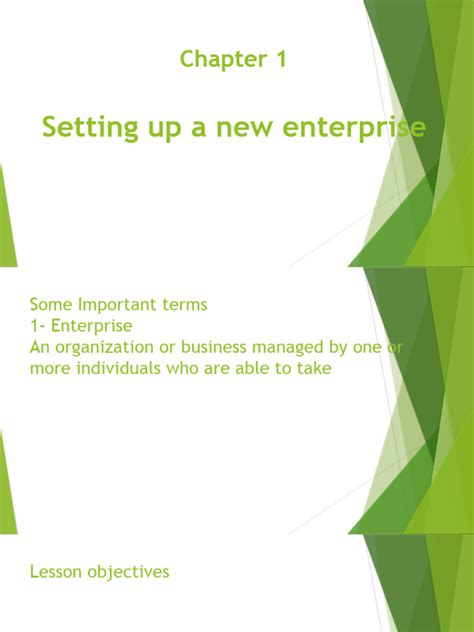 Chp 1 Setting Up A New Enterprise Updated Pdf Franchising