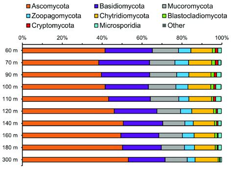 The Relative Abundance Of Each Fungal Phylum Identified In The