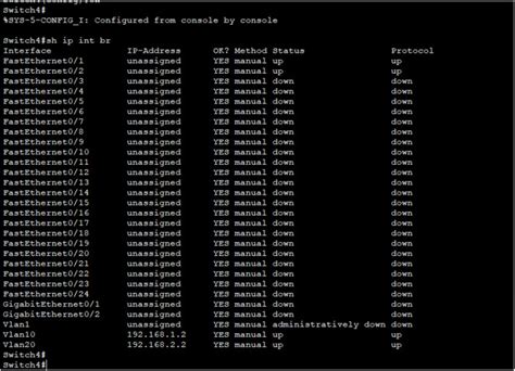 Dhcp Servers On Switch Inter Vlan Routing Ros Svi Require Ip Address