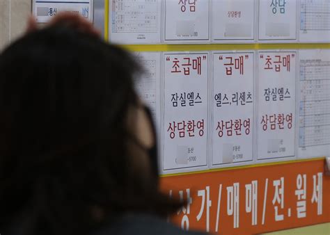 전국이 비명금주 아파트값 통계 집계 후 가장 많이 떨어졌다 네이트 뉴스