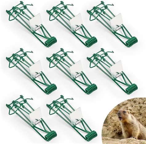 16 Pack Outdoor Gopher Traps Reusable Metal Easy Set Weather Resistant Gopher
