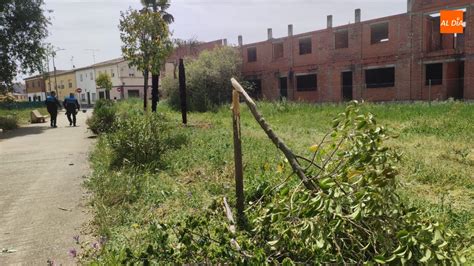 Registrados a plena luz del día actos vandálicos en el parque del