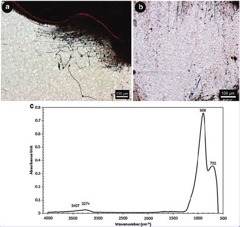 Two Transmitted Light Images And Ftir Absorbance Spectrum From Spot 17