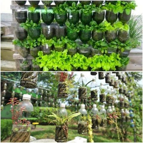 19 Vertical Garden Using Plastic Bottles Ideas To Try This Year