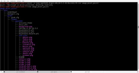 How To Modify A Raw Disk Image Of Your Custom Linux Distro