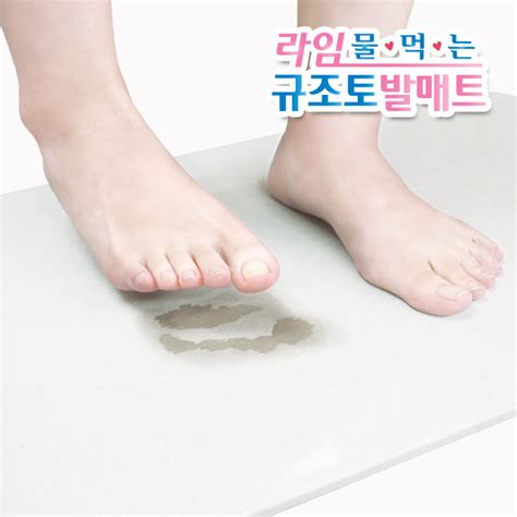 규조토 발매트 장점 단점 고양이가 좋아해요 네이버 블로그
