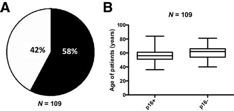 Human Papillomavirus Hpv Prevalence In Formalin Fixed Download Scientific Diagram