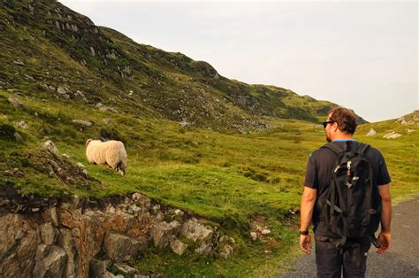 Blog De Philippe Leclair