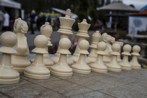 Chess Pieces Free Stock Photo - Public Domain Pictures