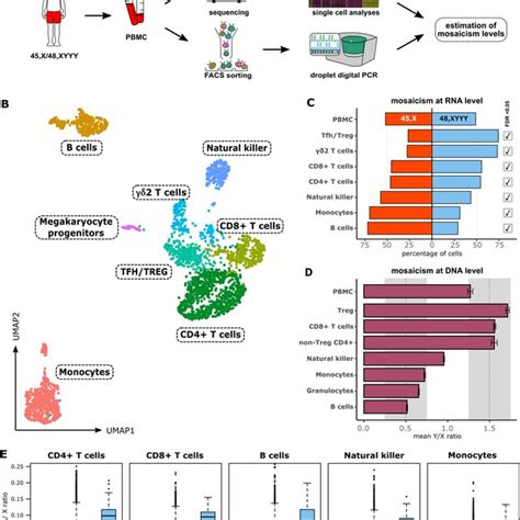 Of Single Cell Rna Sequencing Analysis Panel A Shows A Schematic