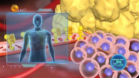 身体里这种让人越来越胖的“快递员”，究竟是什么？凤凰网视频凤凰网