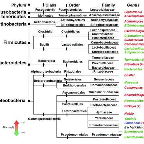 Schematic Workflow Of The Bw Methodology 1 All Bacterial Proteomes