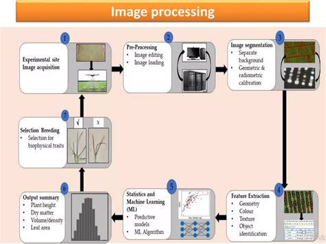 High Throughput Plant Phenotyping In Crop Improvement Pptx Agriculture Industries