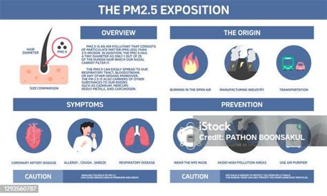 Pm25 박람회 인포그래픽 미립자 물질 25 증상 및 예방 플랫 디자인 환경 오염에 대한 스톡 벡터 아트 및 기타 이미지