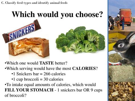 Ppt Animal Nutrition And Feeding Powerpoint Presentation Free Download