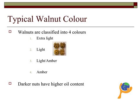 Possible Defects Ppt