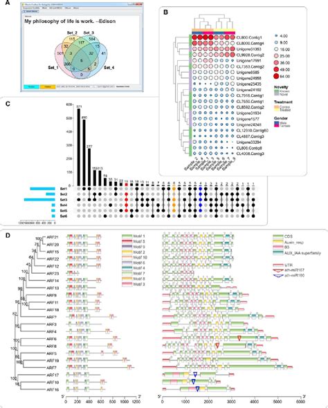 Tbtools A Toolkit For Biologists Integrating Various Biological Data Handling Tools With A User
