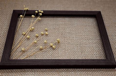 삼베의 배경에 나무 프레임 프레임 내부에는 종자 포드가 있는 마른 아마가 있습니다 3d 효과 플랫 레이 탑 뷰 에코 컨셉 0명에