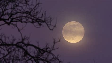 Luna De Fresa Qué Significa Y Cuándo Se La Puede Ver En Junio