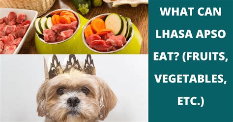 37 Fruits Vegetables And Other Snacks Lhasa Apsos Can And Cant Eat