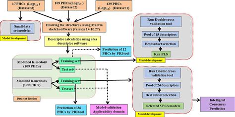Schematic Representation Of The Steps For Final Model Development Download Scientific Diagram
