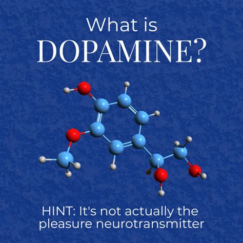 Biohacking Your ADHD How To Increase Dopamine With Orgasms Owning Your O