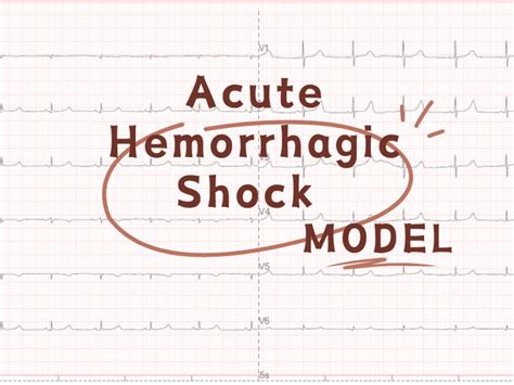 급성 출혈 충격 모델 Nhp 모델 중국 급성 출혈 충격 모델 Nhp 모델